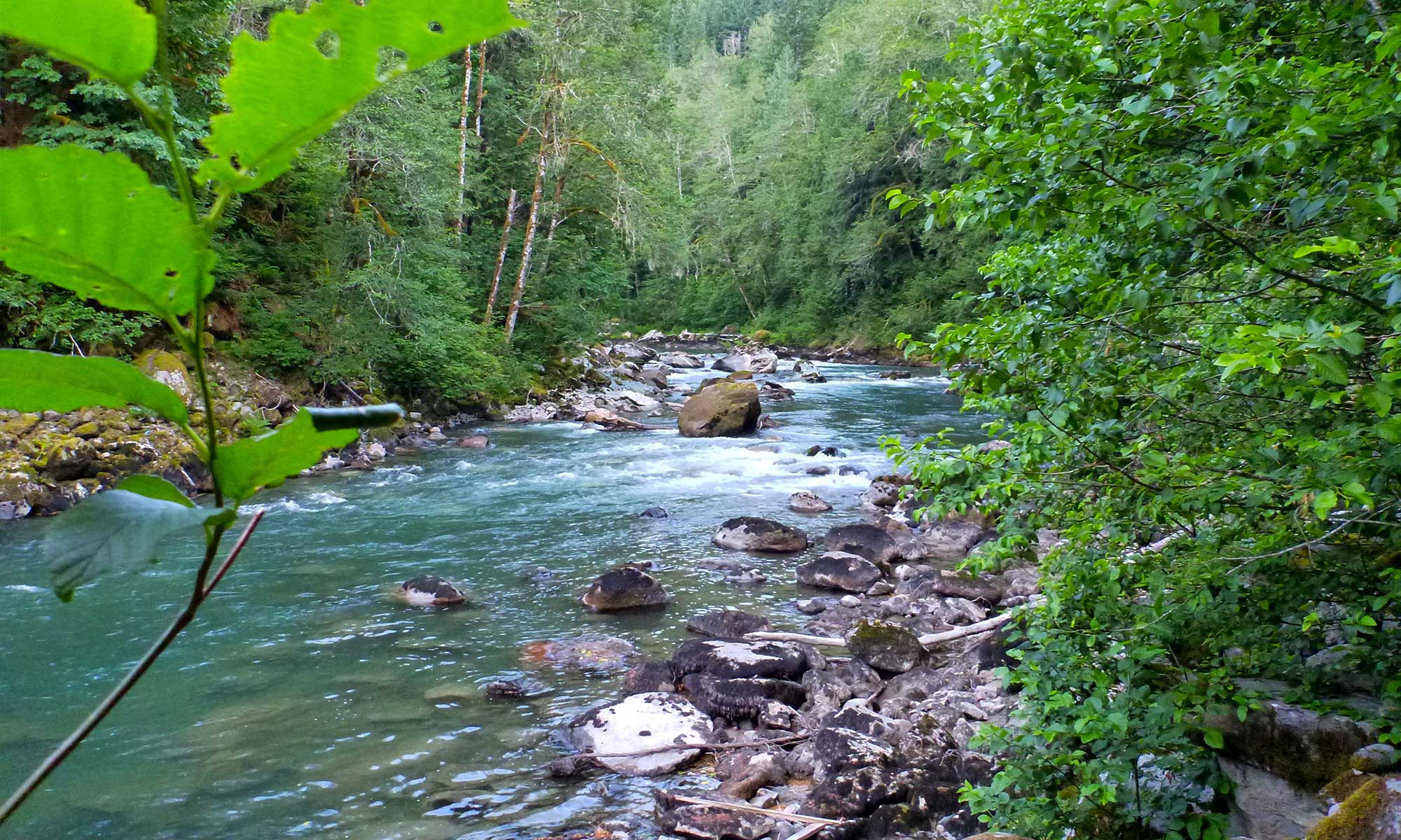 Home South Fork Nooksack River Community Watershed Project
